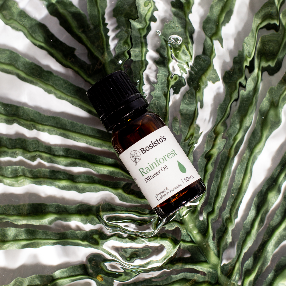 Rainforest Diffuser Oil 10mL | Calming Nature-Inspired Blend